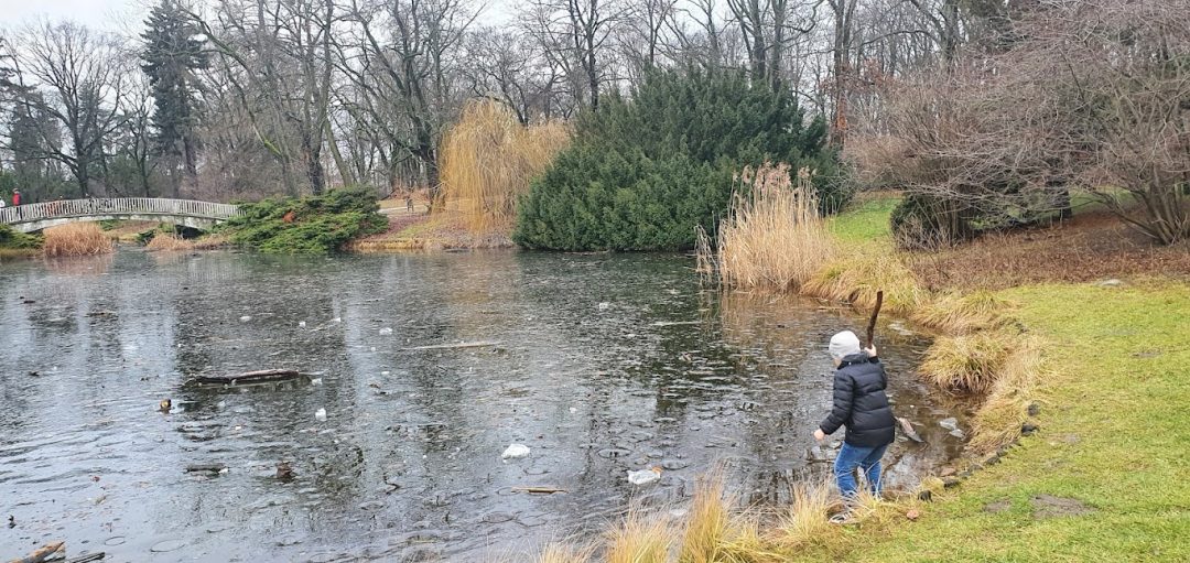 A expansão do seu poder sobre si e sobre o mundo – Minha Janela